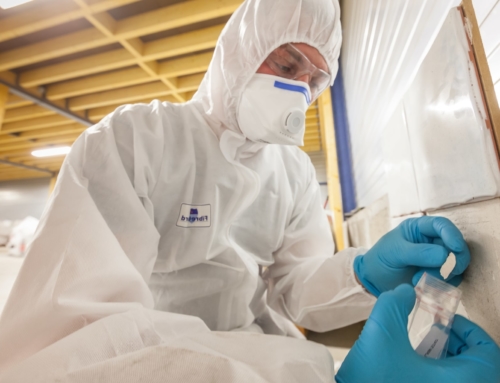 Asbestos encapsulation guide - everything you need to know