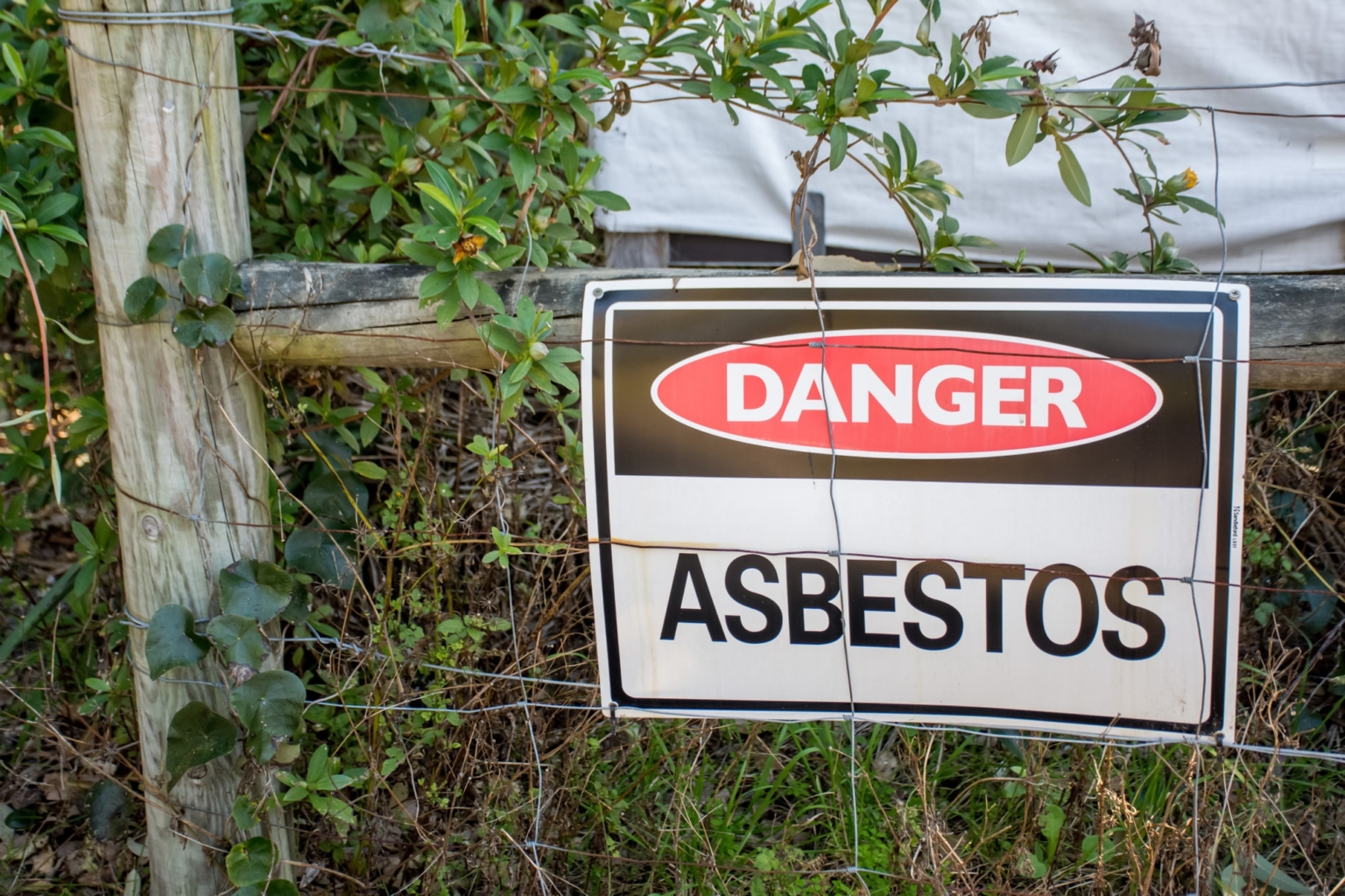 Why was asbestos banned in the UK? - key information